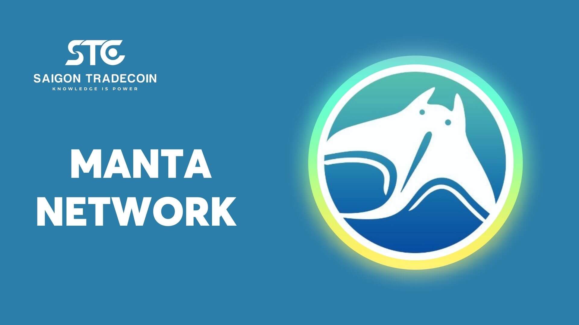 Tổng quan về dự án Manta Network - Manta Network Review