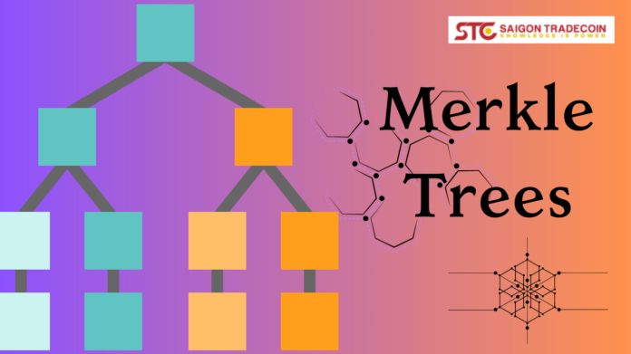 Merkle Trees là gì?