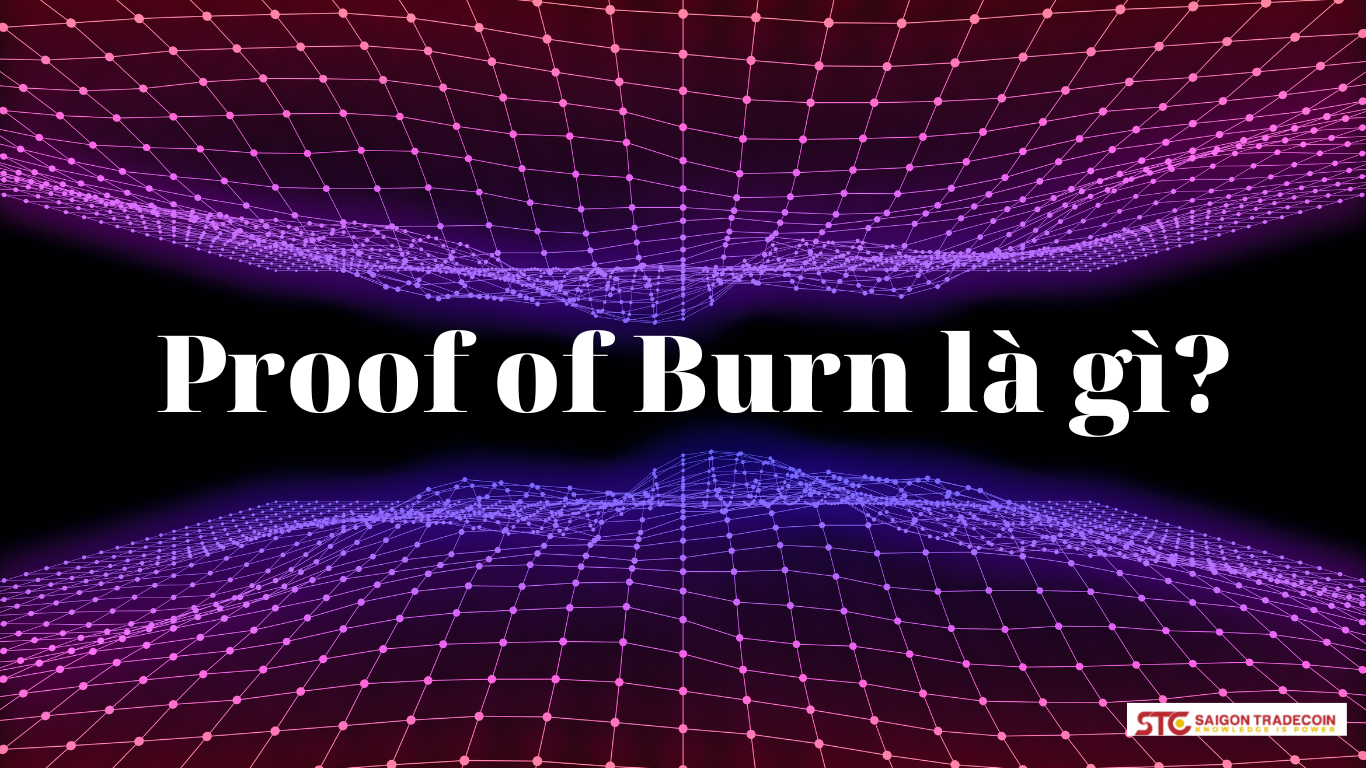 Proof of Burn là gì?